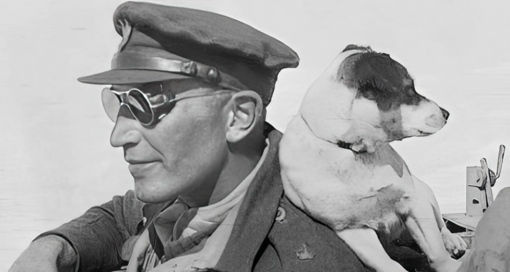 8th June 2023 - Unveiling of Secret WW2 plaque at site of Paddy Mayne's ...